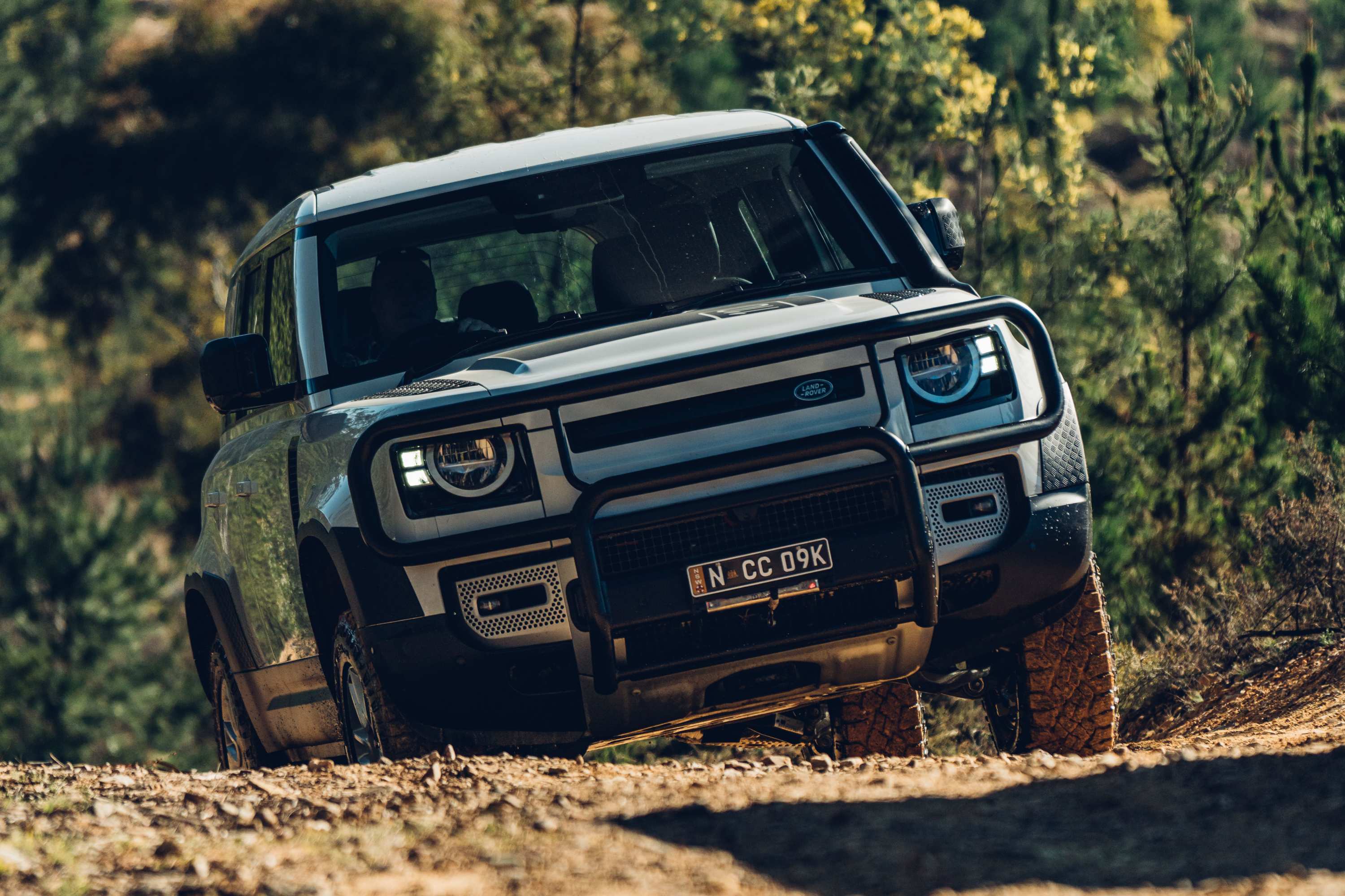 Land Rover Defender 1